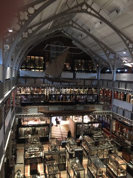Pitt Rivers Visit - Whitby Museum