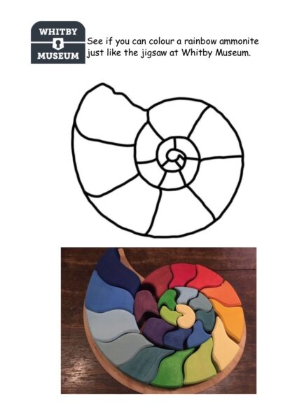 Fossil Activities - Whitby Museum